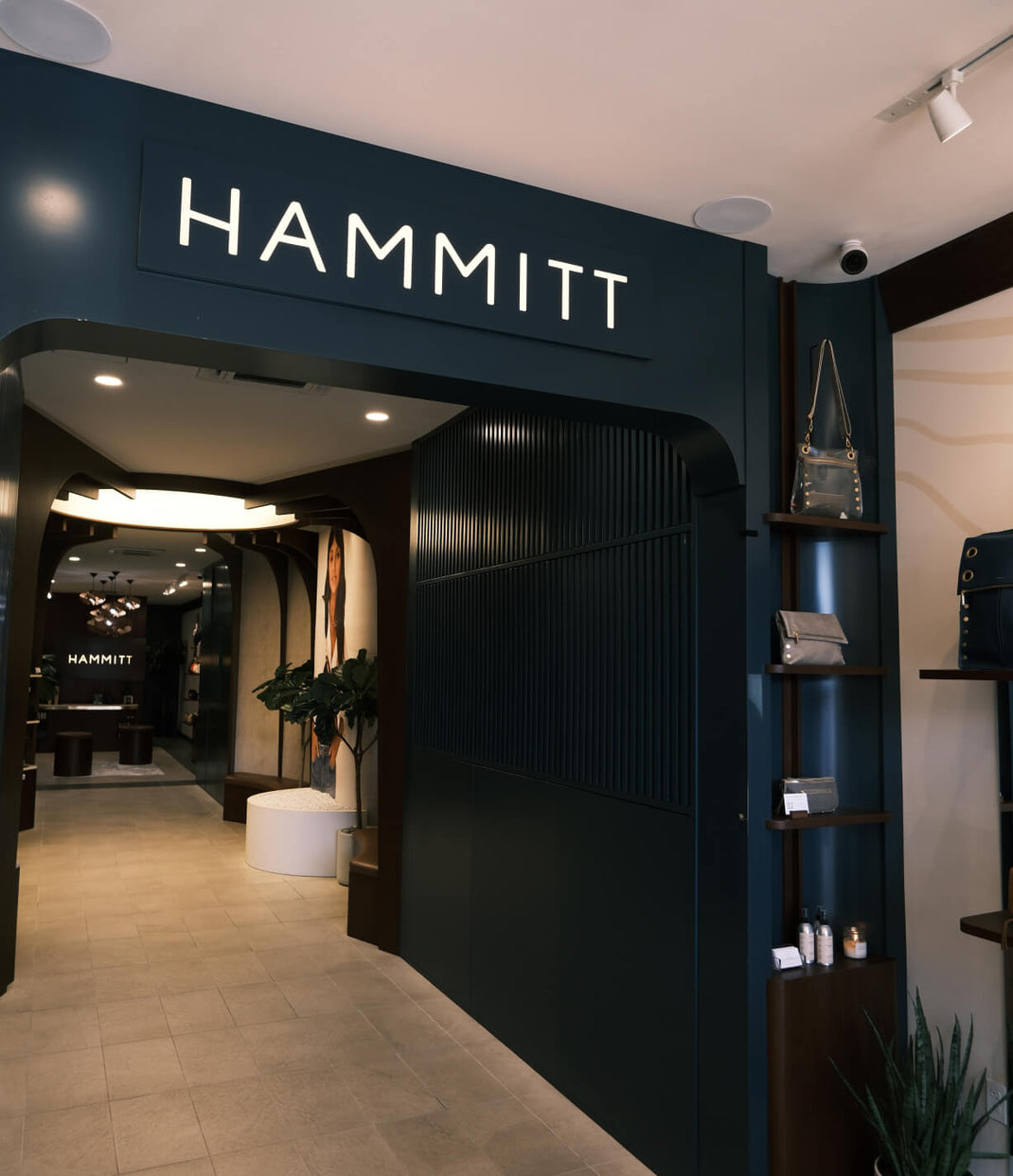 Why Hammitt – HAMMITT